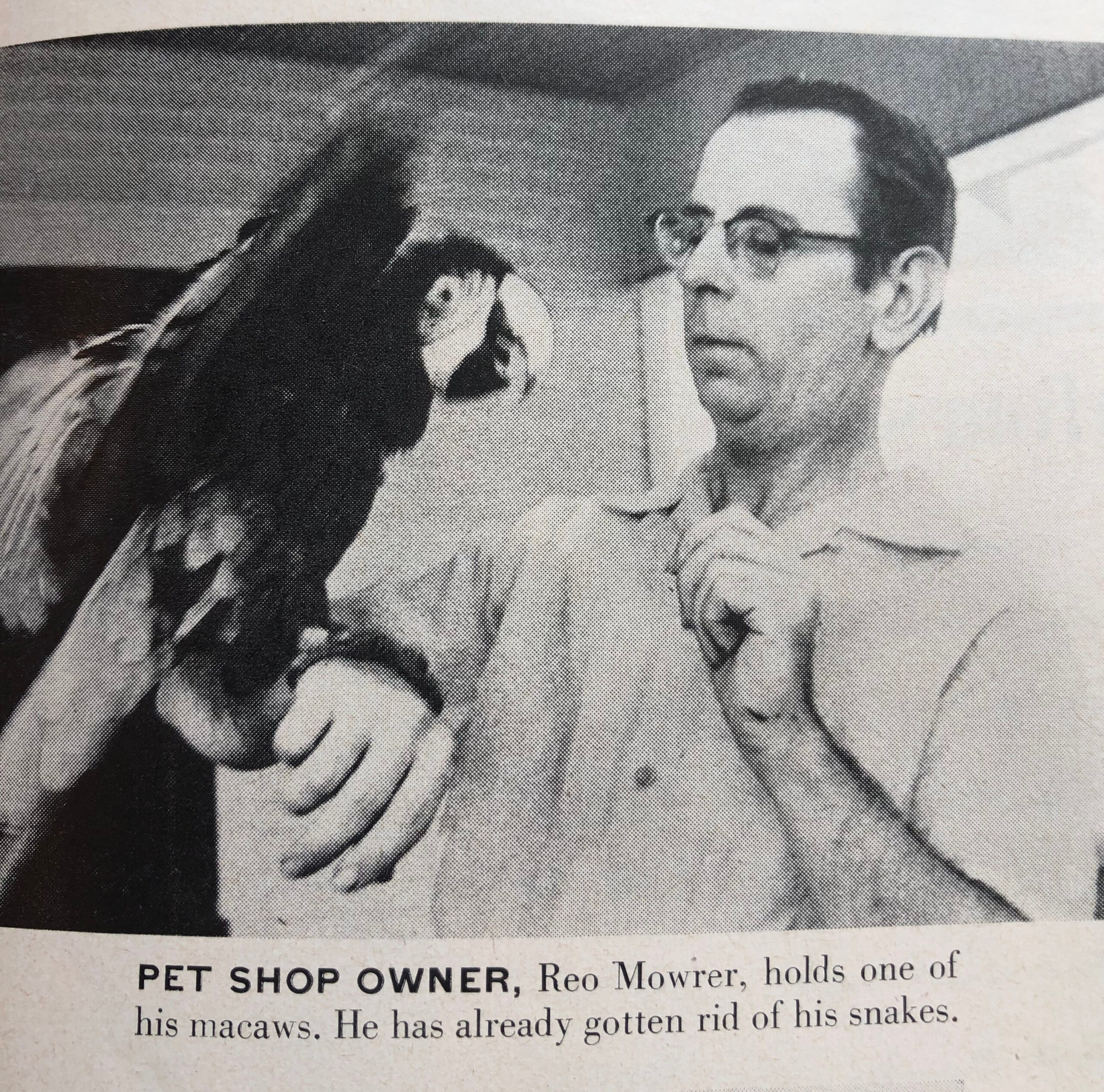 27 - The Great Cobra Scare of 1953 - We're In a Basement Podcast